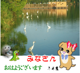 2026-6-7 ココちゃん通信 第1 776号 – 大阪のうめ吉